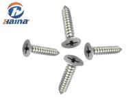China 4.8*100 Stainless Steel Sharp point Cross Recessed Head Self Drilling Screw for sale