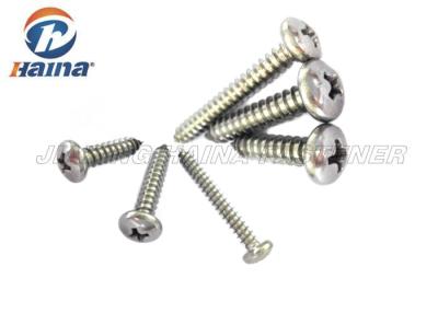 China stainless steel 304 316  DIN7981 Pan Head Self Tapping Screws for sale
