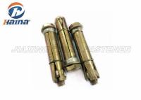 China Heavy Duty Shield Expansion Anchor Bolt M6 Gr.4.8 UNC Internal Thread for sale