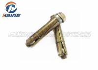 China Heavy Duty Shield Expansion Anchor Bolt M6 Gr.4.8 UNC Internal Thread for sale