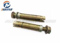 China Heavy Duty Shield Expansion Anchor Bolt M6 Gr.4.8 UNC Internal Thread for sale