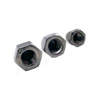 China High Tensile Decorative Hex Cap Nuts , Stainless Nuts Drawing Request Finish for sale