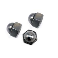 China High Tensile Decorative Hex Cap Nuts , Stainless Nuts Drawing Request Finish for sale