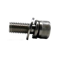 China Pan Head Stainless Steel 304 316 Hexagon Socket Machine Screws for sale
