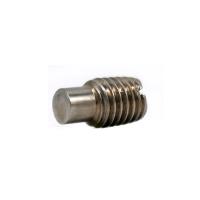China SUS 304 / 316 Stainless Steel Self Tapping Security Screws Slotted Set Screws for sale