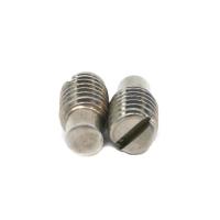 China SUS 304 / 316 Stainless Steel Self Tapping Security Screws Slotted Set Screws for sale