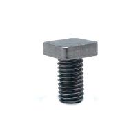 China Customized Stainless Steel 304 316 Non Standard Square Head Machine Screws for sale