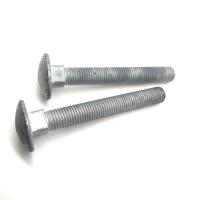 China Hot Dip Galvanized Electric Power Round Head Square Neck carriage bolt for sale