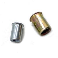China Flat White/Yellow Zinc Plated Carbon Steel Threaded Blind  Rivet Nuts for sale
