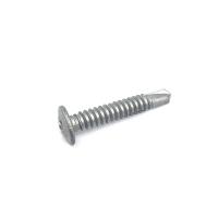 China A2 A4 SCM435/410 Pan Head Cross Recessed Drilling Bimetal Screw for sale