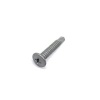 China A2 A4 SCM435/410 Pan Head Cross Recessed Drilling Bimetal Screw for sale
