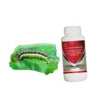 China Spodoptera Frugiperda Biological Insecticides SC Solution Effective Safe Vegetable Pest Killer for sale