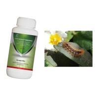 China Fast-acting agent pesticide EoNPV Bt SC control population base of tea geometrid for sale