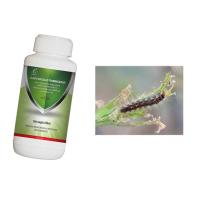 China Tea geometrid killer pesticide EoNPV Bt Long-term effect harmless to human animals for sale