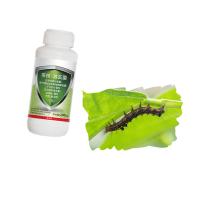 China Tea Geometrid Common Pests Kill Organic Chinese Tea Good Effect Ecotropis Obliqua Nuclear Polyhedrosis Virus for sale