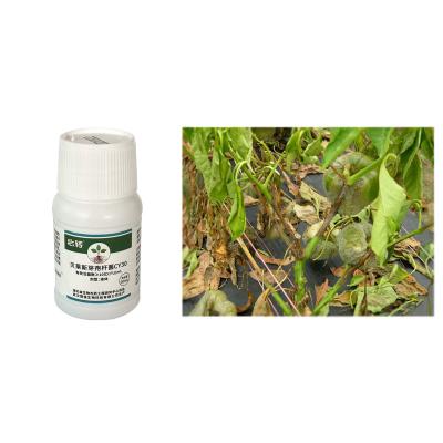 China Promote Plant Growth CY30 Bacillus Velezensis Biologcal Fertilizer in Liquid Form for sale