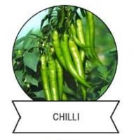 China Ecological Biological Pesticide PrGV Bt Vegetable Brocolli Farming Organic Certification for sale