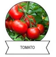 China Organic pest control for tomatoes cauliflower SeNPV bacillus thuringiensis for worm control for sale