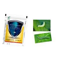 China Non Toxic Farming Biological Insecticides  PrGV BT Green Vegetable Pest Killer Spray WP for sale