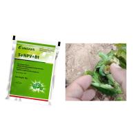 China Effective Pest Management with SeNPV And Bacillus Thuringiensis Fall Armywrom Beet army wrom Control Solution for sale