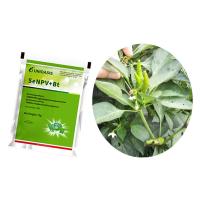 China Effective Pest Management with SeNPV And Bacillus Thuringiensis Fall Armywrom Beet army wrom Control Solution for sale