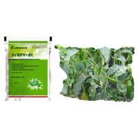 China Effective Pest Management with SeNPV And Bacillus Thuringiensis Fall Armywrom Beet army wrom Control Solution for sale