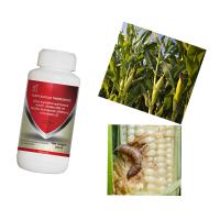 China Keep Your Corn Healthy with Maize Crop Pesticides Liquid Formulation and 2 Years Shelf Life for sale