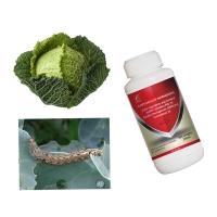China Keep Your Corn Healthy with Maize Crop Pesticides Liquid Formulation and 2 Years Shelf Life for sale