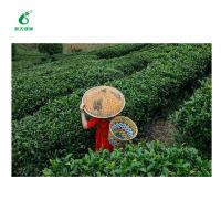 China Tea geometrid killer pesticide EoNPV Bt Long-term effect harmless to human animals for sale
