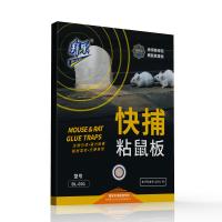 China Sticky Family Home Pest Killer Mouse And Rat Glue Board 21x34cm PD20092500 for sale