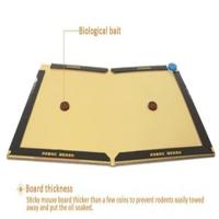 China Sticky Family Home Pest Killer Mouse And Rat Glue Board 21x34cm PD20092500 for sale