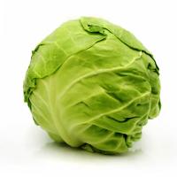 China Bio Pesticide Brassicaceous Vegetable Onion Plants 10000 PIB/mg PrGV 16000IU/mg Bt for sale