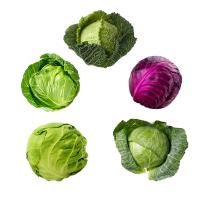 China Good Quality Bio Pesticide PrGV Kill Cabbage Worm without Chemical Residue Safe to Crops for sale