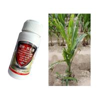 China Attractive Price Spodoptera litura White Moth Pests Elimination AcNPV bio pesticides for sale
