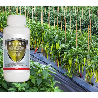 China ECO Friendly 10 million PIB/mL HaNPV+2000IU/mL Bt Biological Pesticide for Helicoverpa armigera Control with No Residue for sale