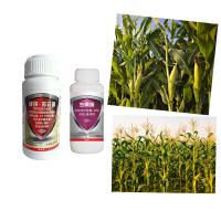 China Organic Certification No Residue Fruit Tree Pesticide with 10 million PIB/mL AcNPV for Brassicaceous Vegetables for sale