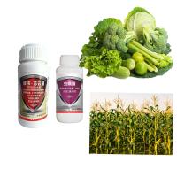 China Examples of insect virus extract organic pesticide exporter for vegetable garden farm plant crop AcNPV for sale