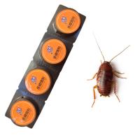 China Professional PfDNV 6000PIB/g Cockroach Bait Gel with Domino Effect - Safe for Humans and Animals for sale