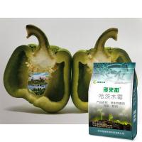 China Duolaisa Bio Trichoderma Fertilizer Prevent Bacterial Wilt Root for sale