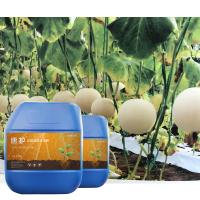 China Suhu Humic Water Soluble Acidic Biochemical Fertilizer Liquid Hormone Free Promote Root for sale