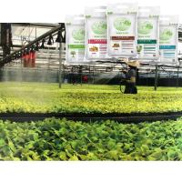 China Suhu Macroelement Water Soluble Biological Organic Fertilizer Powder Promote Flower Fruit Vegetables Melons for sale
