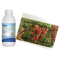 China Plant Biological Fertilisers Amino Acid Fertilizer For Nutrient Absorption for sale