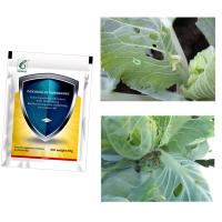 China PrGV Bt Biological Pesticide for Cabbage Worms Low-Toxic Organic for sale
