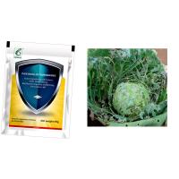 China 10 million PIB/mg PrGV 0.2% Bt Organic Pesticide Vegetable Agriculture Effective Killer Without Residue for sale