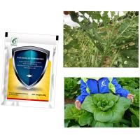 China 100% Organic Agriculture Pesticides PrGV Bt For Vegetable Plants Diamond Back Moth Killing for sale