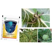 China Eco-friendly Biological Pesticide PrGV Plus Bt with 10000 PIB/mg PrGV+16000IU/mg Bt for No Pesticide Residue Vegetable Protection for sale