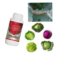 China Long time effective biopesticide AcNPV BT corn vegetable pests killing non-resistance for sale