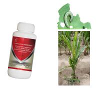 China Pests killing organic pesticide manufacturer customized packing AcNPV agriculture filed for sale