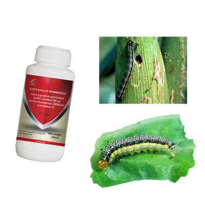 China Brassicaceous Vegetable Fall Armyworm Control in Maize Insect Viral NPV Biopesticide Purpose for sale