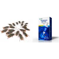 China PfDNV Organic Viral Pesticide Cockroach Bait Gel with 6000PIB/g for Targeted Infection Three Generations - Safe and Eco-friendly for sale